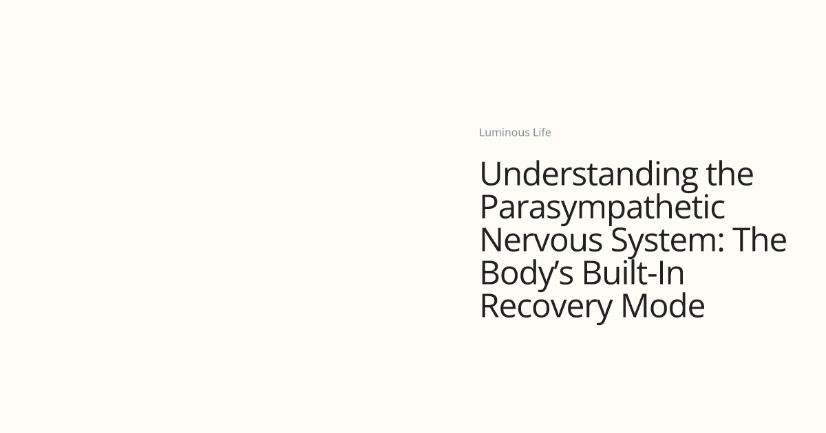 Understanding the Parasympathetic Nervous System